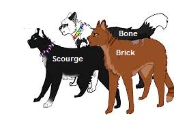 scourge and bone